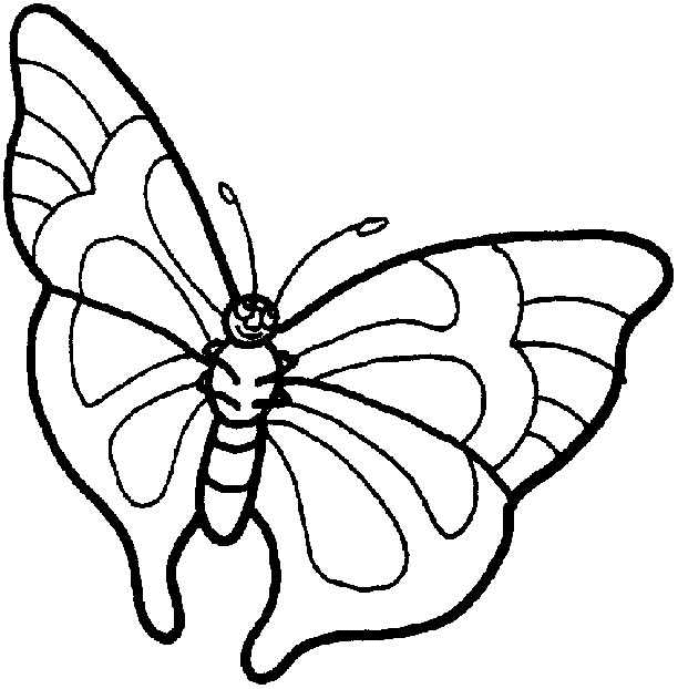 Dessins De Papillon Colorier